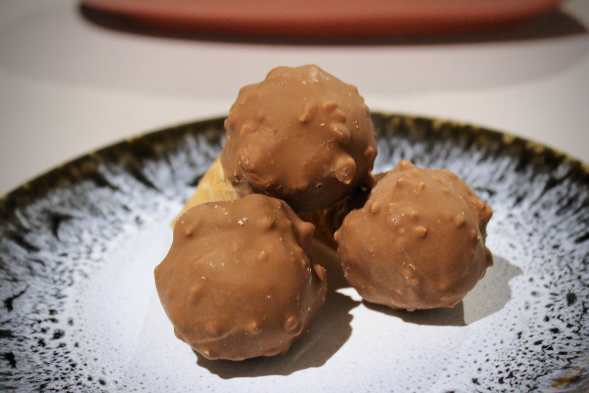 Hazelnut Daconeta Schiffer – Fame Hungry